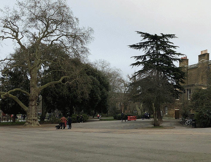 Then & Now – Slider – Stoke Newington History